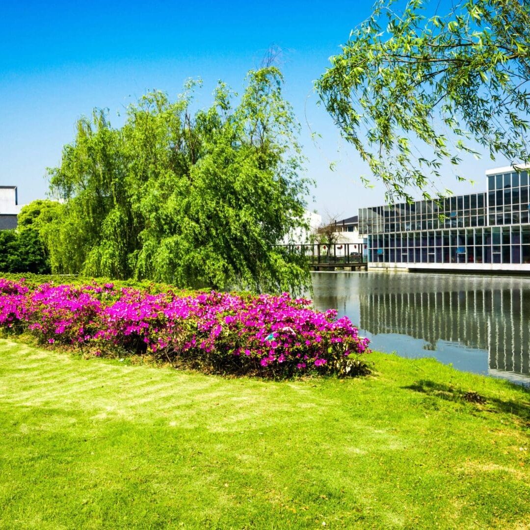 Expert Landscape Design Services for Stunning Outdoor Spaces
